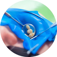 Our News - New Orleans Childrens Dental Center